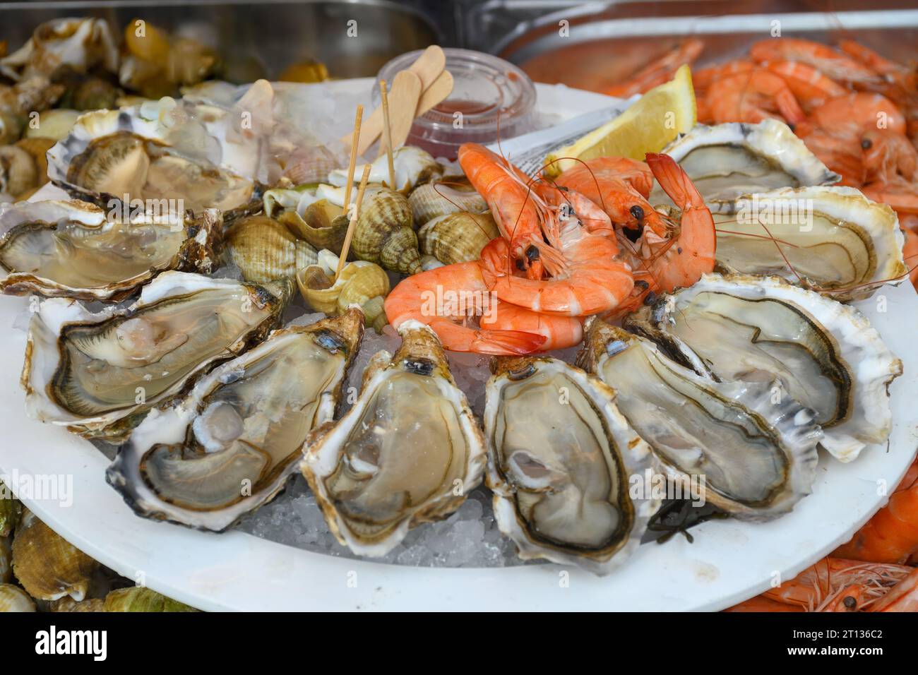 Fresh french Gillardeau oysters molluscs shucked on ice and other ...