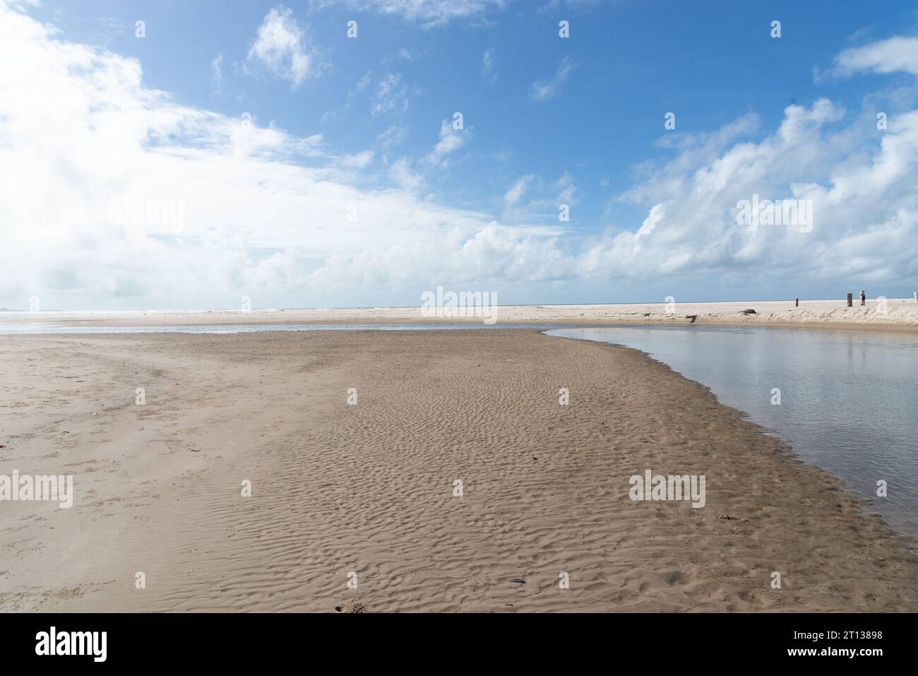 Waters from a river that flows into the sea. white sand on the beach ...
