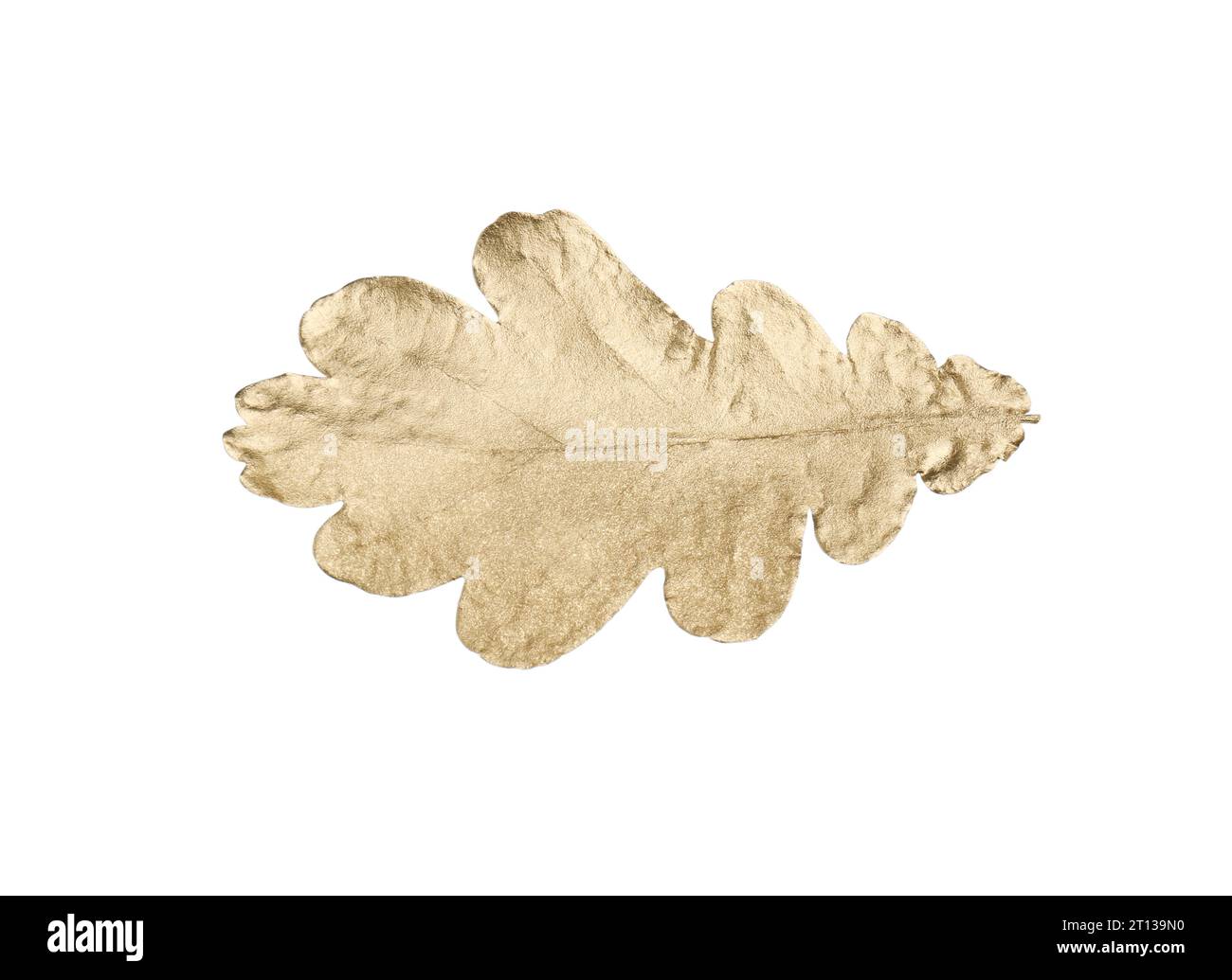 One golden oak leaf isolated on white. Autumn season Stock Photo - Alamy