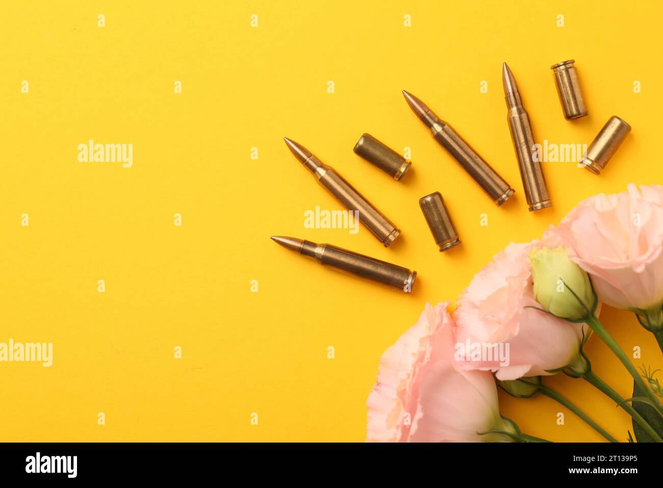 Bullets, cartridge cases and beautiful eustoma flowers on yellow ...