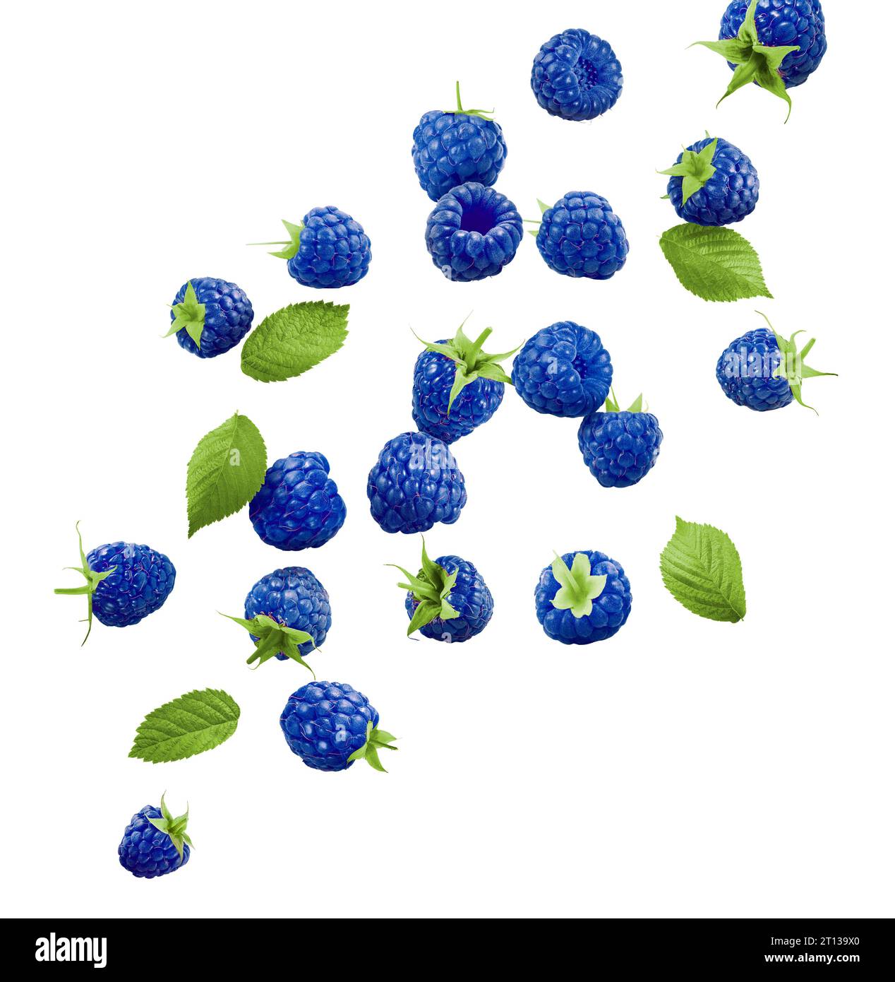 Many fresh blue raspberries and green leaves falling on white ...