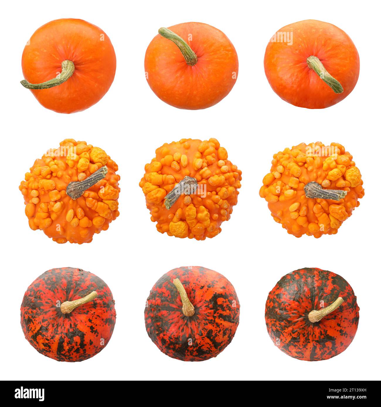 Set of different pumpkins isolated on white, top view Stock Photo - Alamy