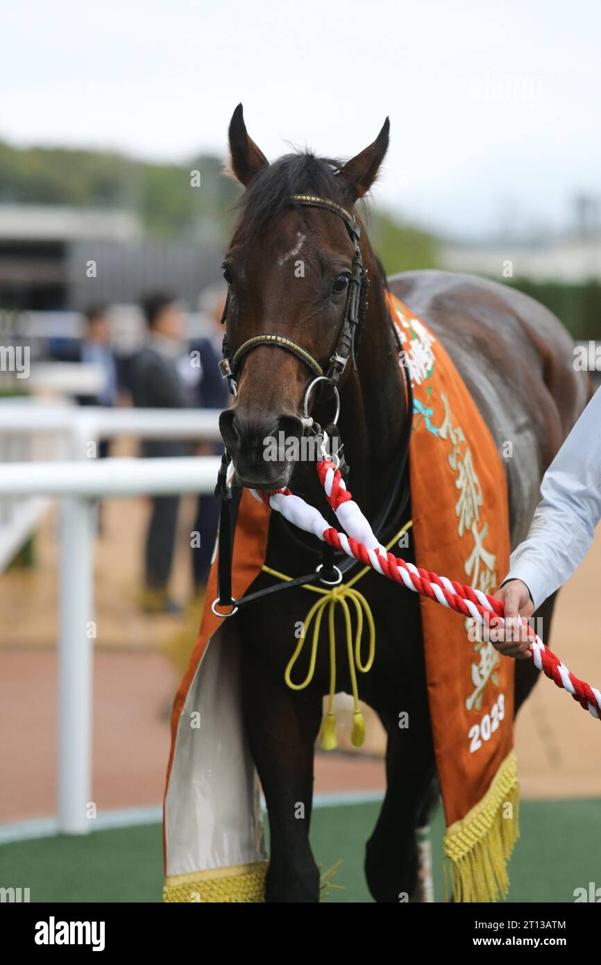 Kyoto, Japan. 9th Oct, 2023. Pradaria won the Kyoto Racecourse in Kyoto ...