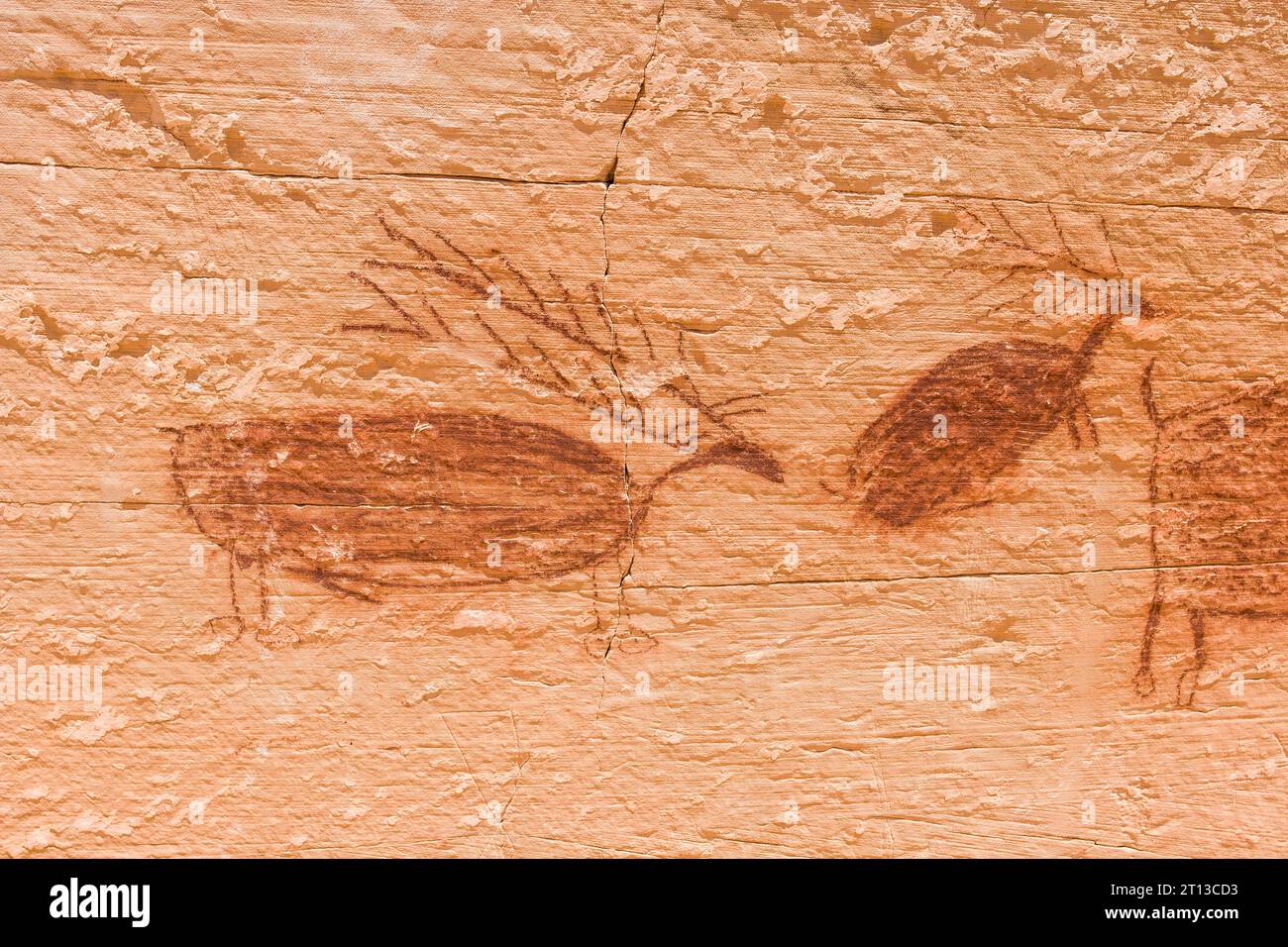 Elk depicted in ancient rock art pictograph panel in the Great Gallery ...