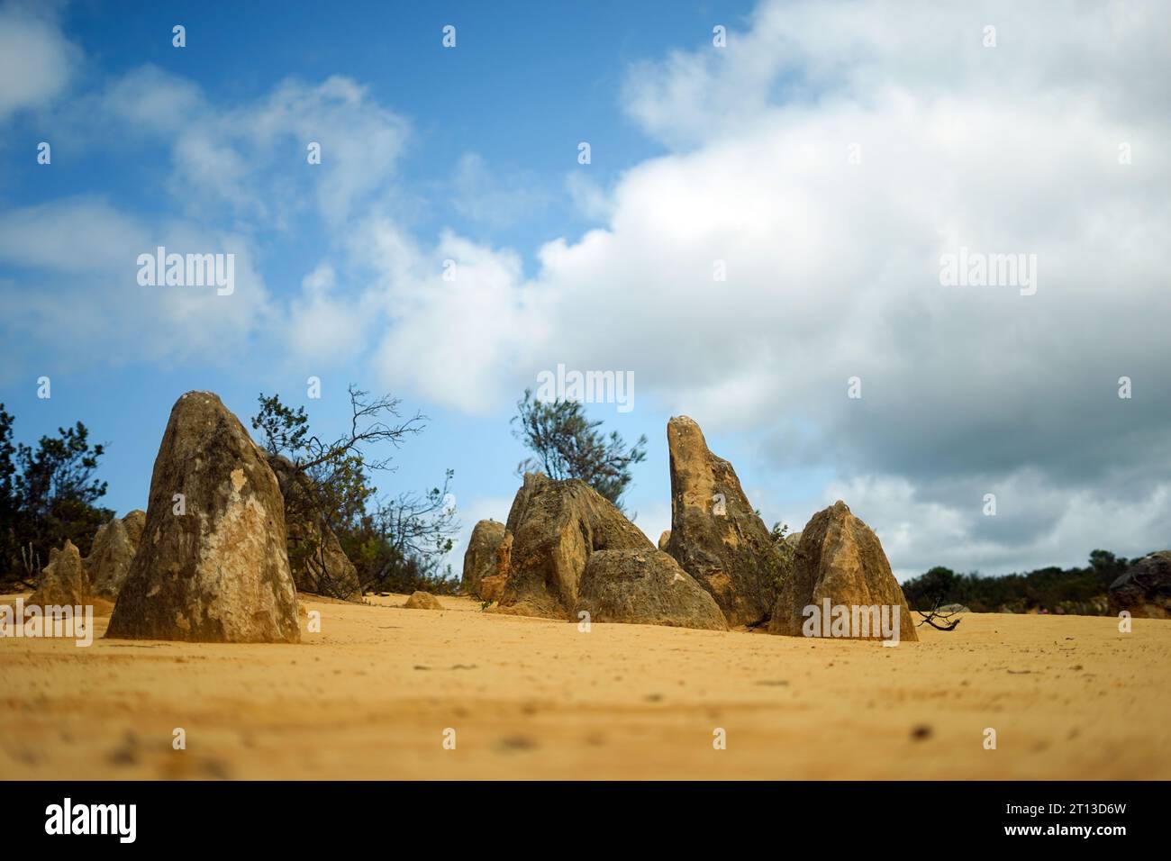 A view of the Pinnacles Desert Discovery situated in the Nambung ...