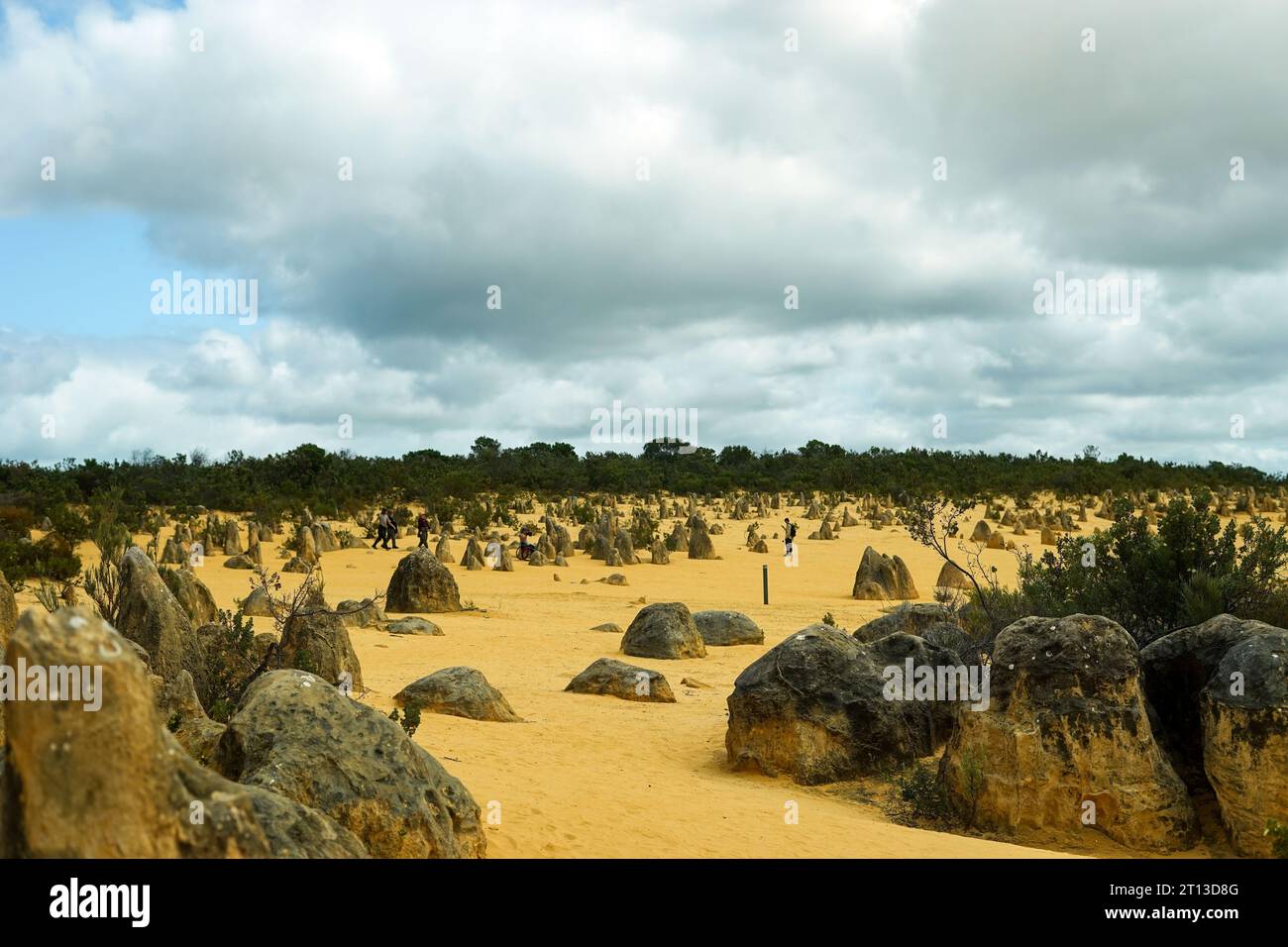 A view of the Pinnacles Desert Discovery situated in the Nambung ...