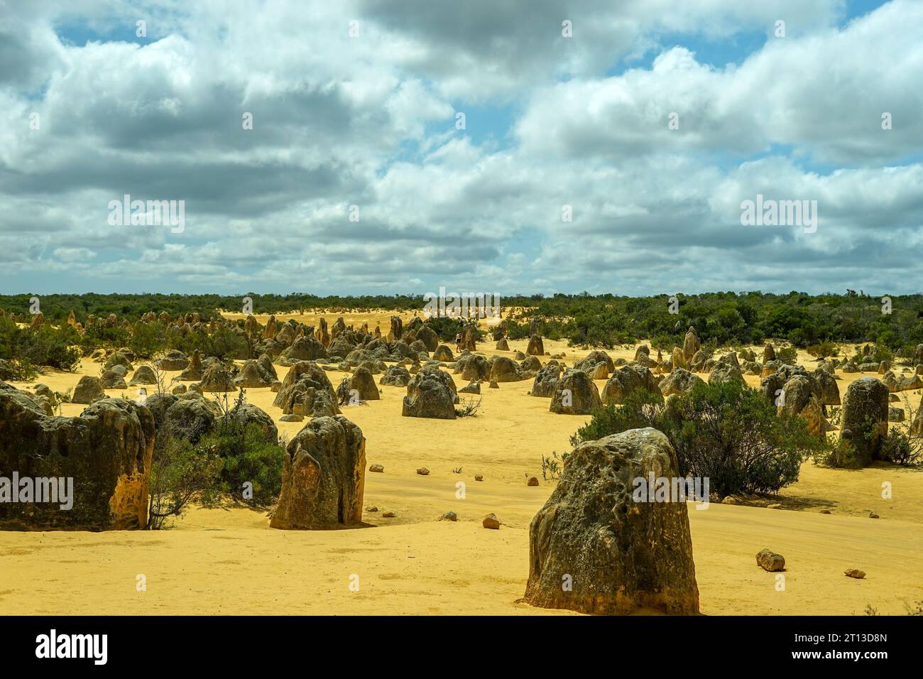 A view of the Pinnacles Desert Discovery situated in the Nambung ...