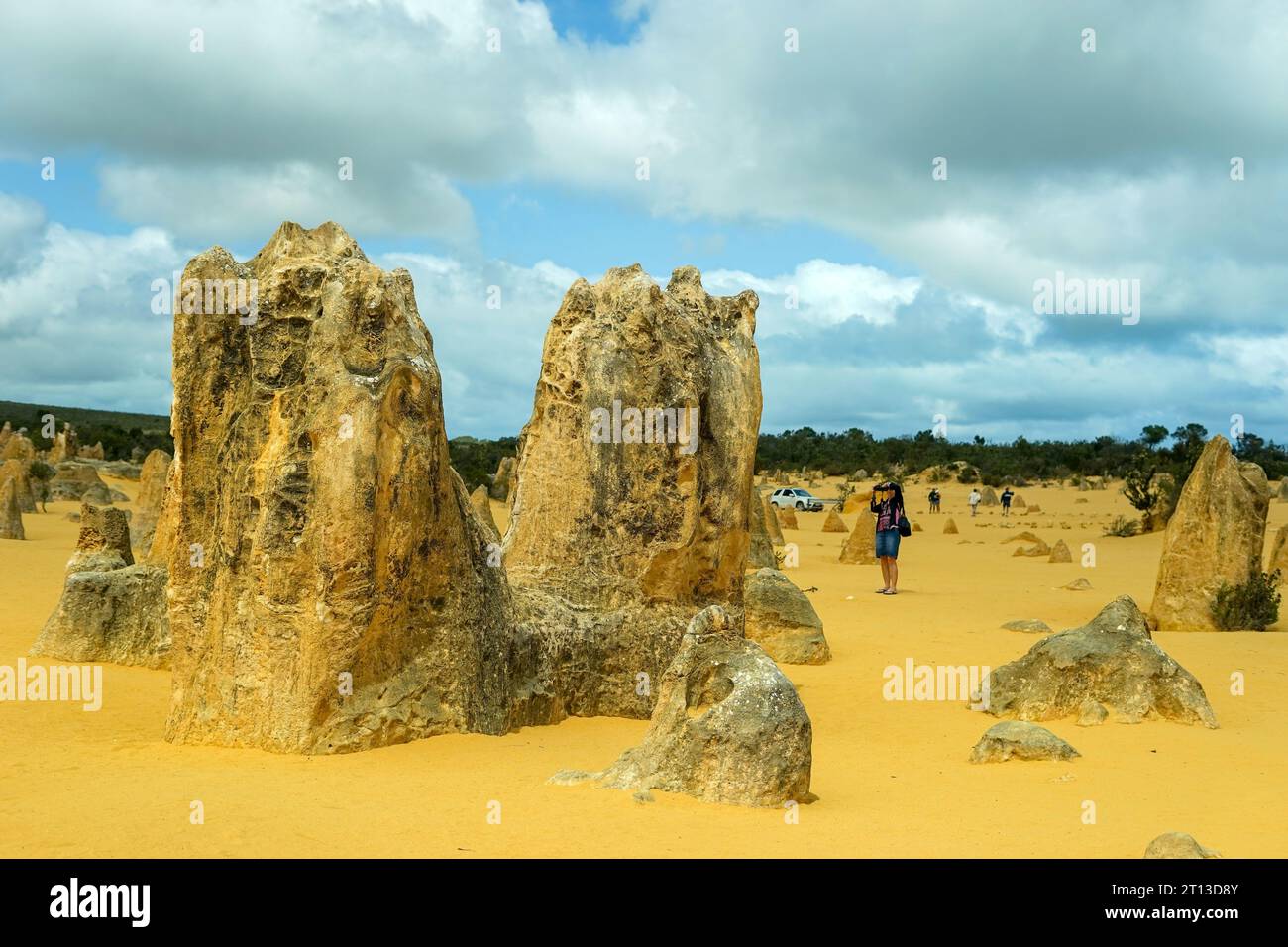 A view of the Pinnacles Desert Discovery situated in the Nambung ...