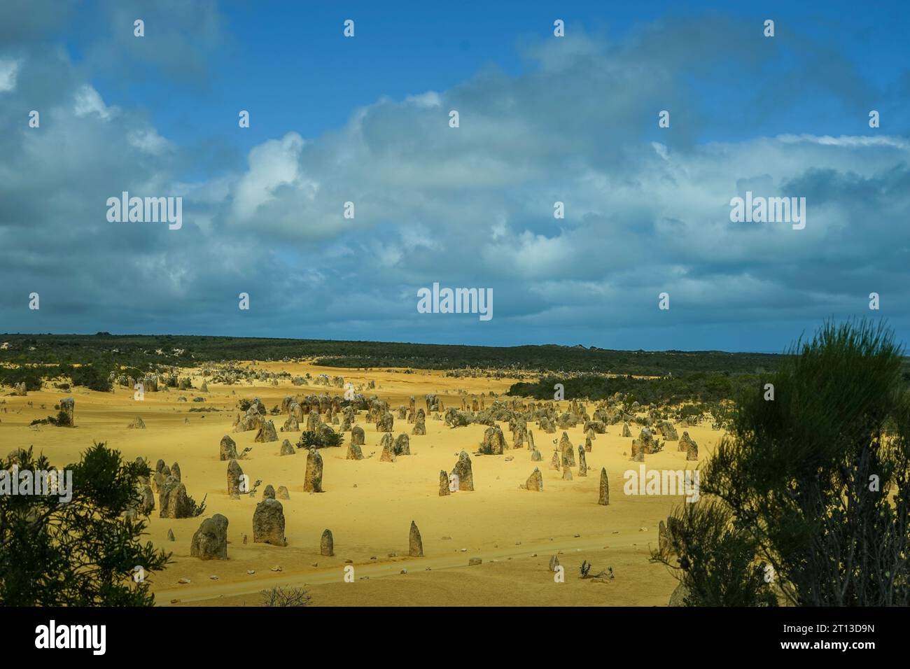 A view of the Pinnacles Desert Discovery situated in the Nambung ...