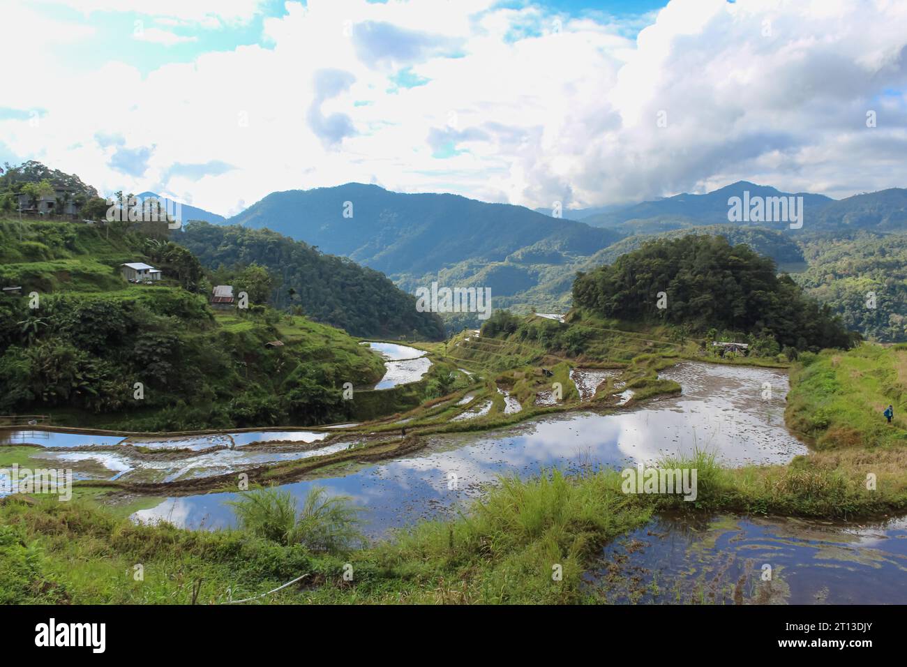 Rice terraces in Philippines. Rice paddies valley of Batad, Philippines ...