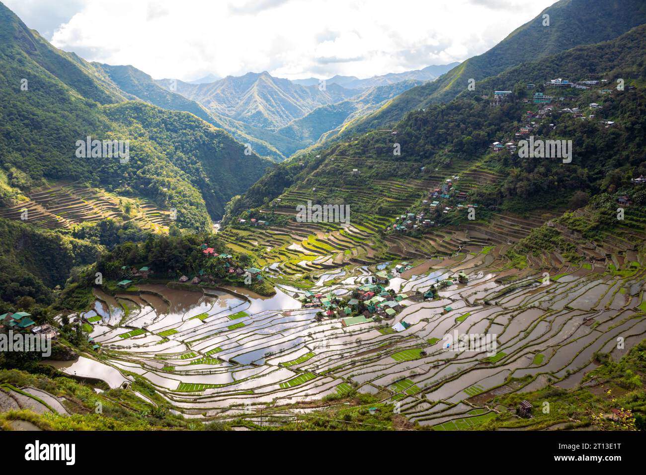 Rice and water on terraces, world heritage Ifugao rice terraces in ...