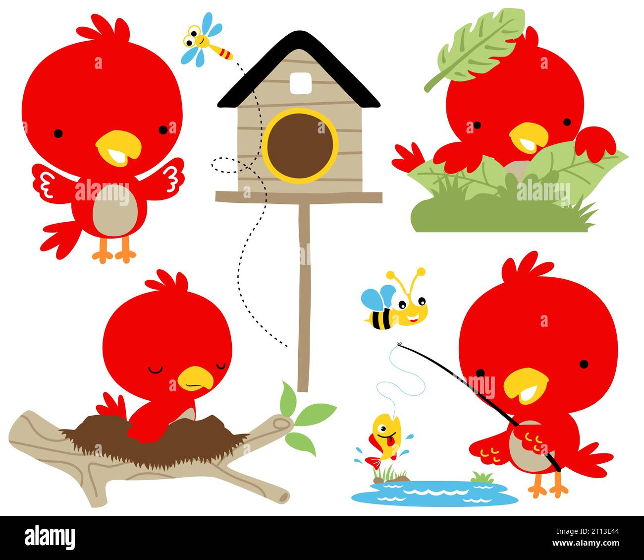 Pond insect Stock Vector Images - Alamy