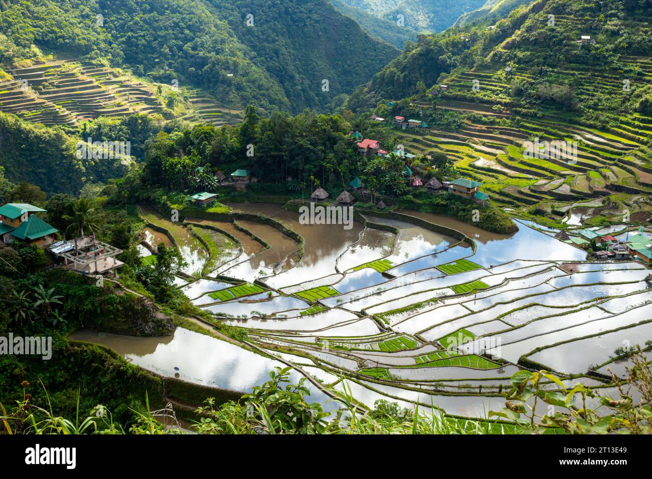 Batad rice terraces in Ifugao, Banaue, Philippines. Batad is a village ...