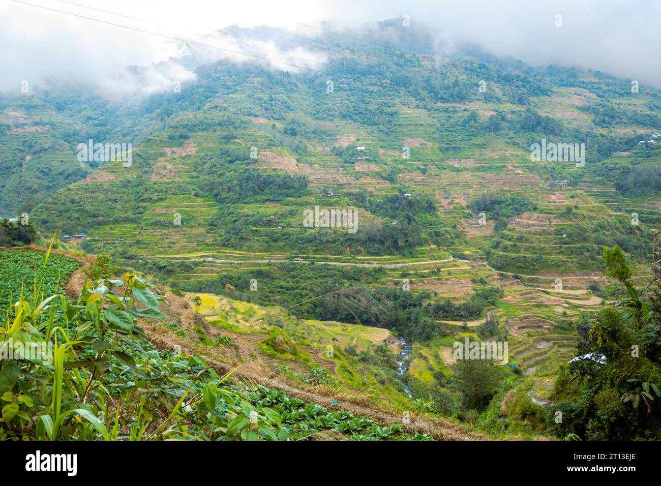 Batad Rice Terraces, UNESCO world heritage in Ifugao, Luzon Island, the ...