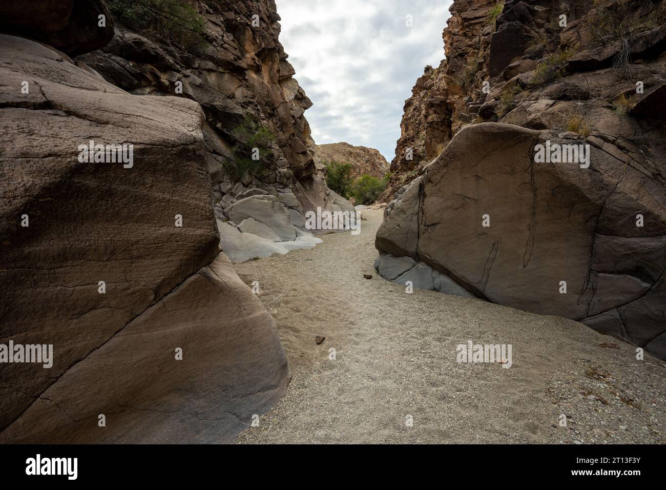 Sandy Wash Trail to Upper Burro Mesa Pouroff in Big Bend Stock Photo ...