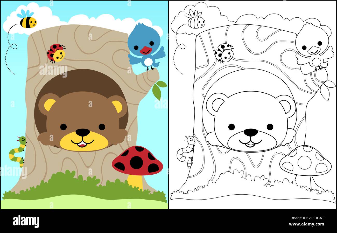 Coloring book vector of cute bear in tree stump with bird and bugs ...