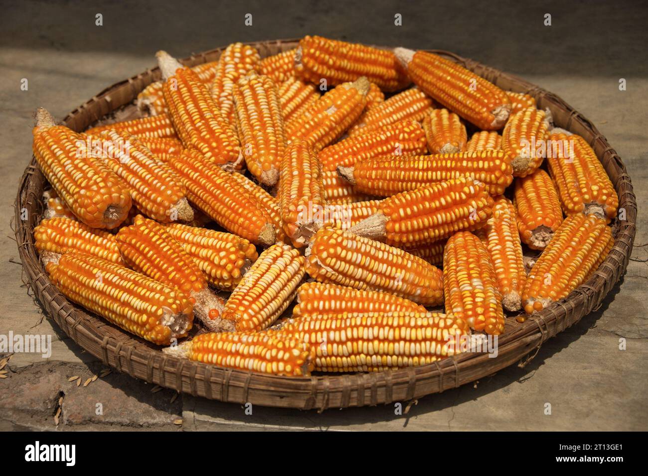 Corn cobs in wicker container, Indonesia Stock Photo - Alamy