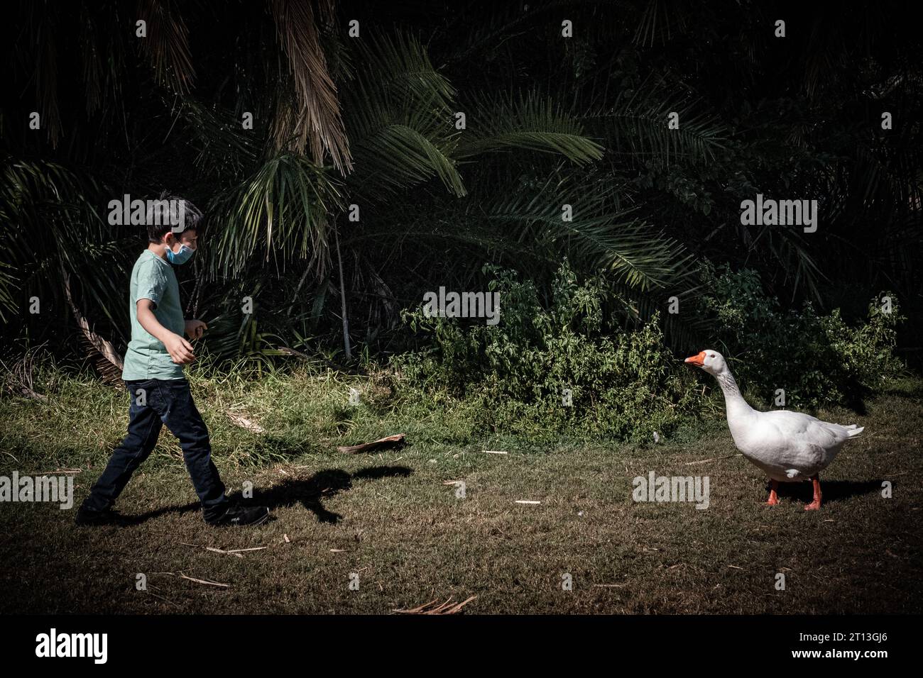 Human Vs Nature Stock Photo - Alamy