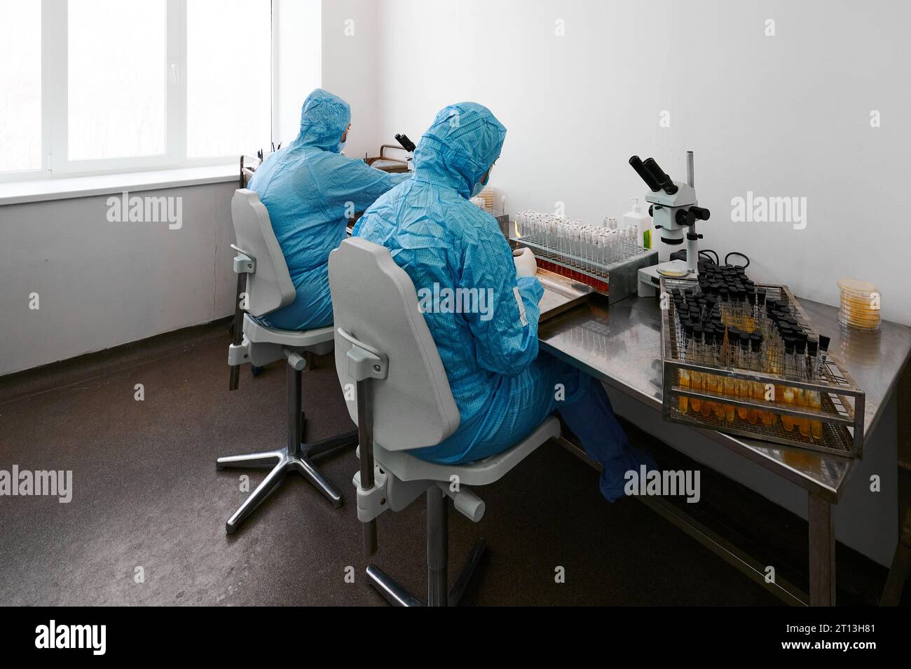 Laboratory assistant works on creating bacterial culture Stock Photo ... Laboratory assistant works on creating bacterial culture Stock Photo ...