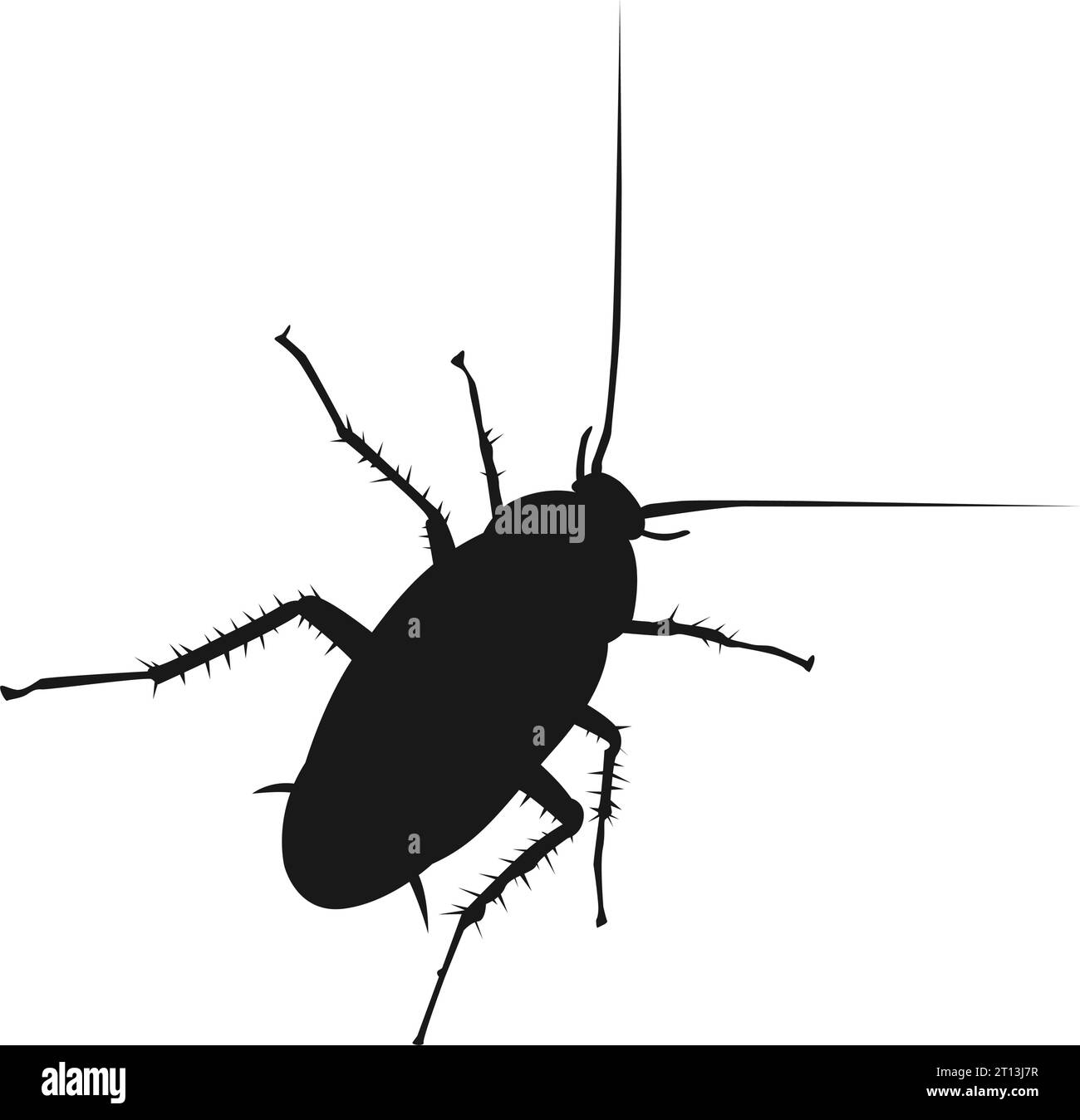 Cockroach Black and White Stock Photos & Images - Alamy