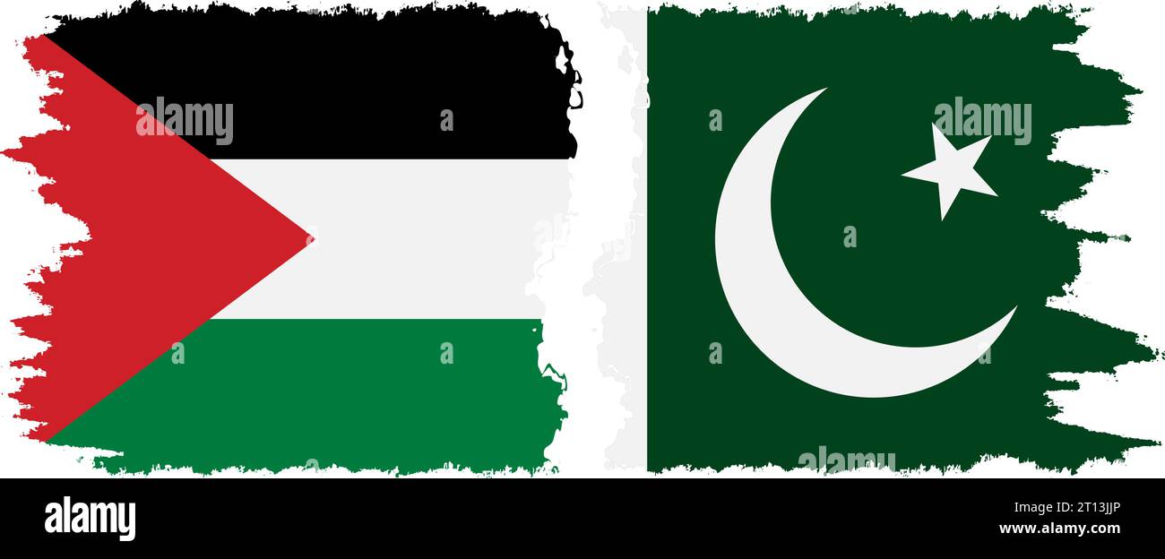 Pakistan and Palestine grunge flags connection, vector Stock Vector ...
