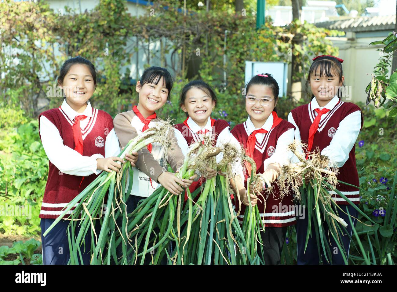 Students experience harvestingn at the campus farm in Tangshan City ...