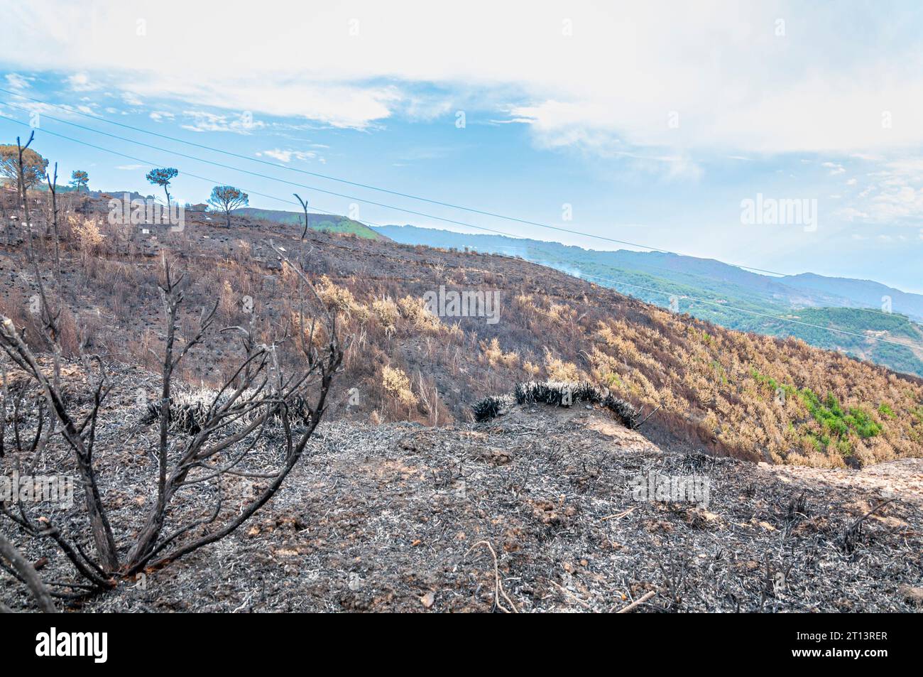 Panorama of the Calabrian mountains burned by the fire Stock Photo - Alamy