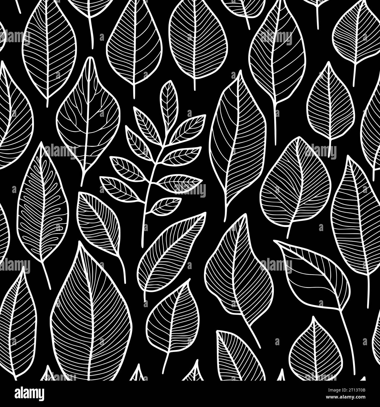 Floral Leaf Pattern, White Outline Drawing on Black Background ...