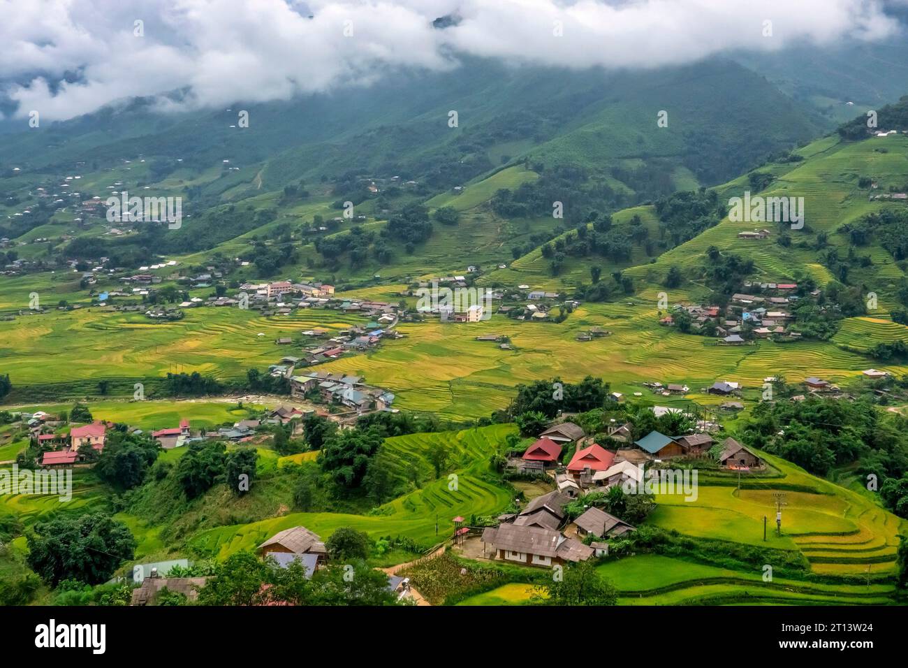 Aerial view of rice field or rice terraces , Sapa, Vietnam. Lao Chai ...