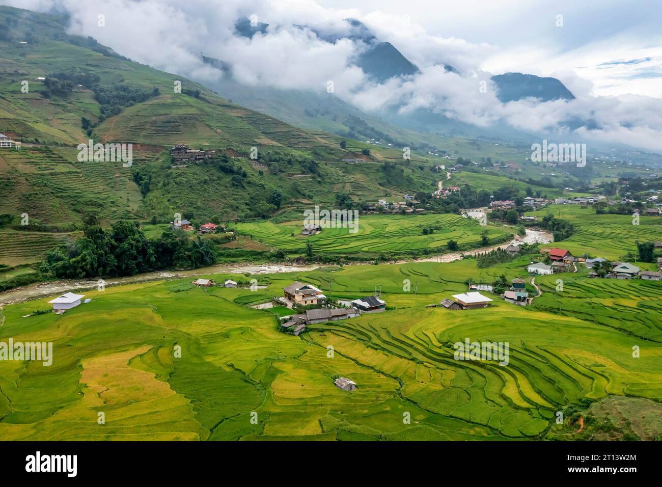 Aerial view of rice field or rice terraces , Sapa, Vietnam. Lao Chai ...
