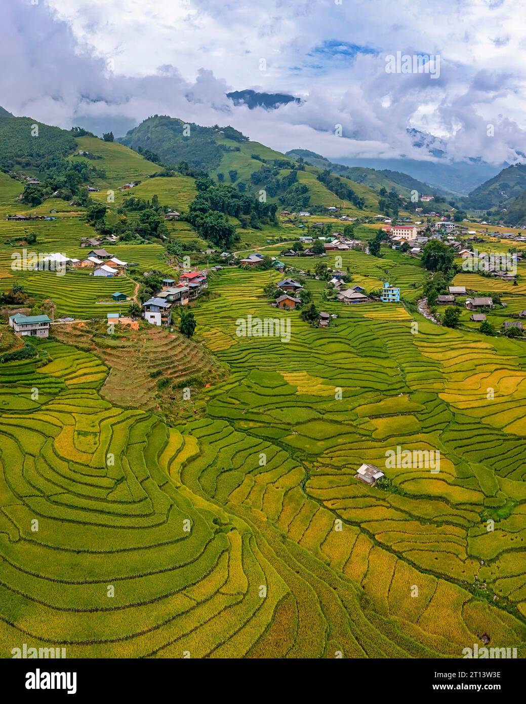 Aerial view of rice field or rice terraces , Sapa, Vietnam. Lao Chai ...