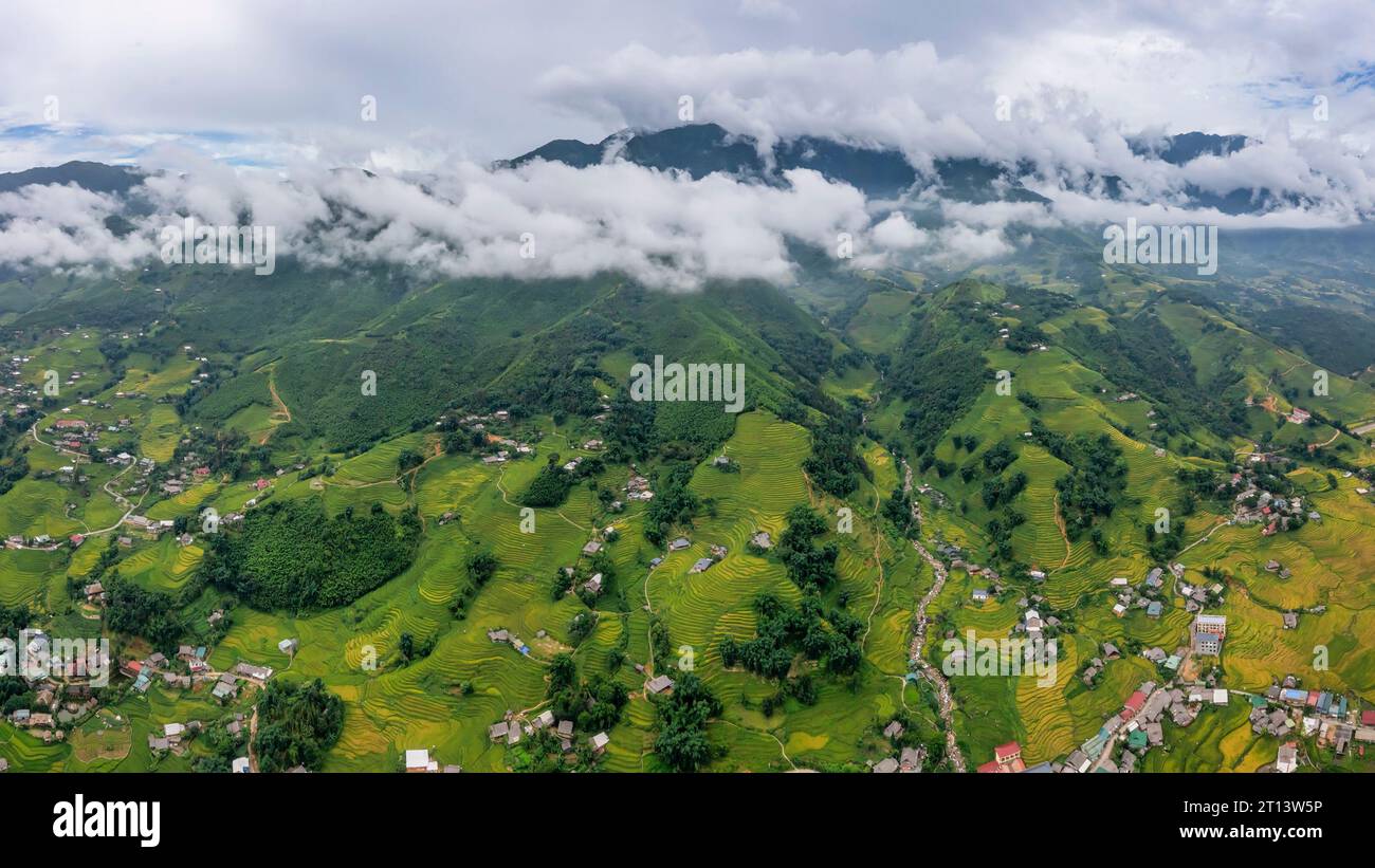 Aerial view of rice field or rice terraces , Sapa, Vietnam. Lao Chai ...