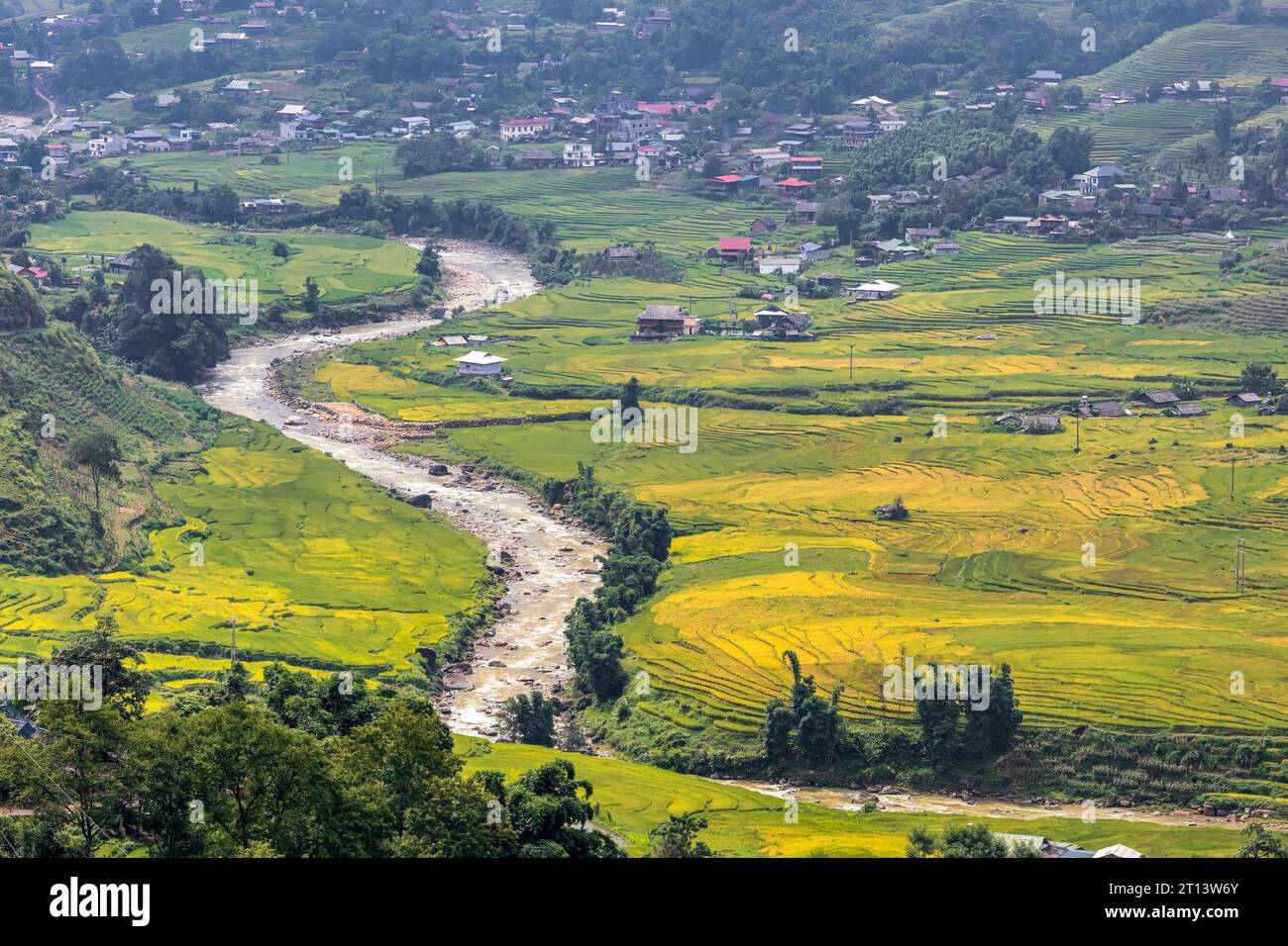Aerial view of rice field or rice terraces , Sapa, Vietnam. Lao Chai ...