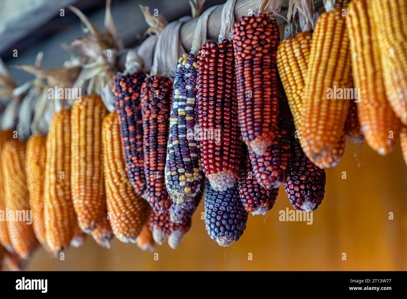 Draw loom hi-res stock photography and images - Alamy