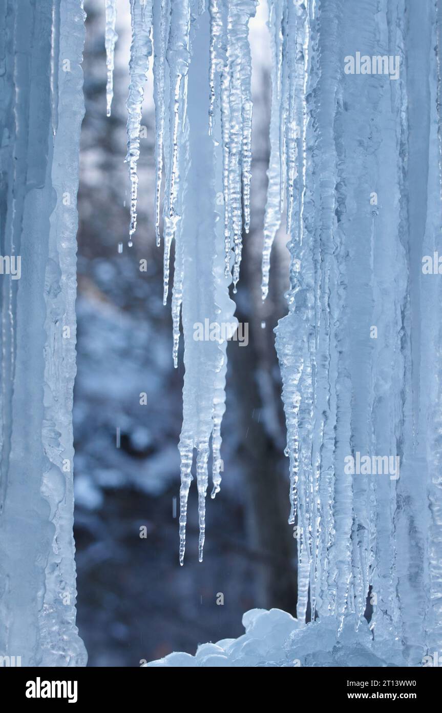 A frozen waterfall with icicles in a blue and white color in winter ...