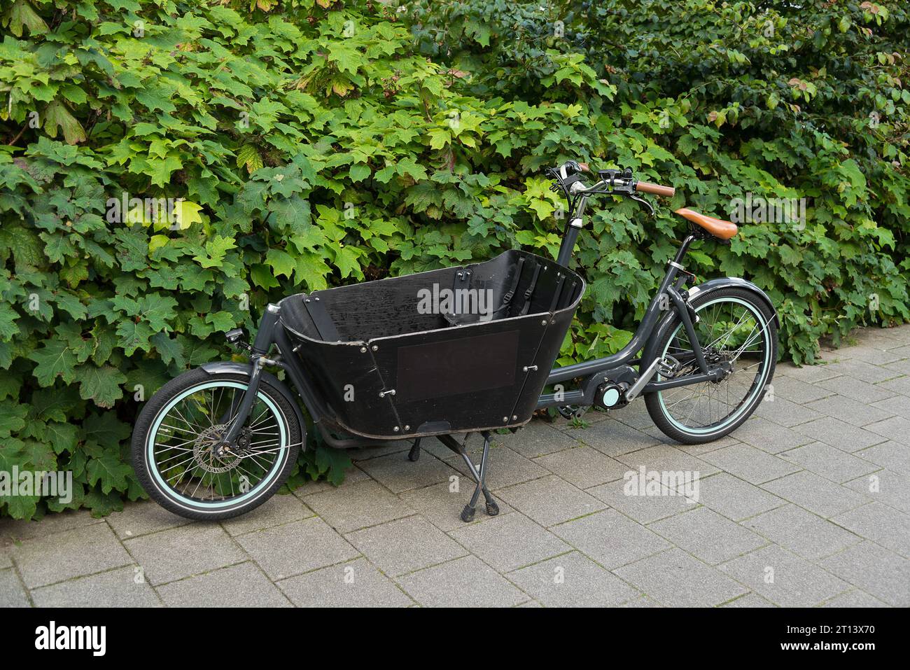 Front load children trike. Cargo bicycle for a load Stock Photo - Alamy