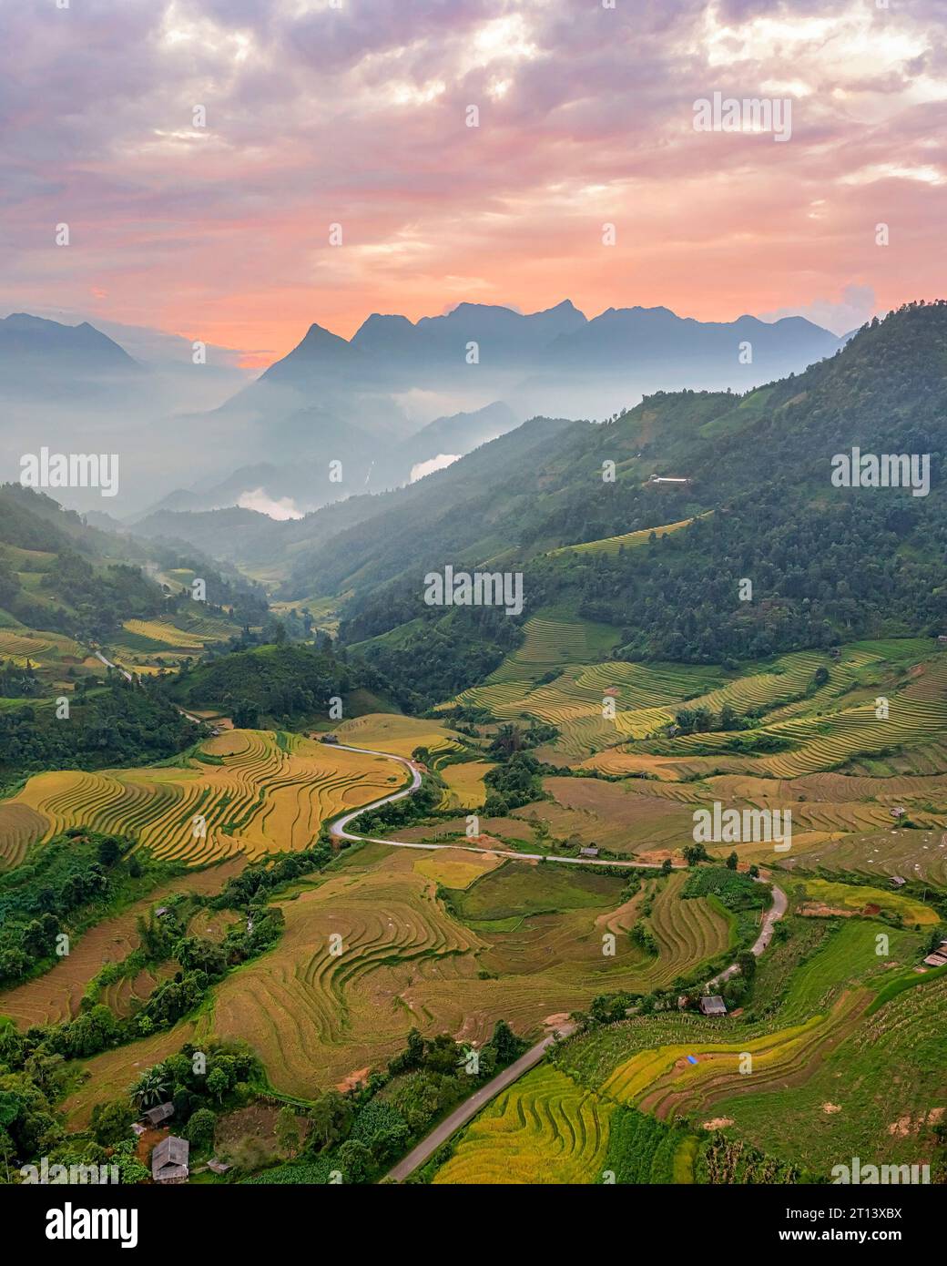 Aerial view of rice field or rice terraces , Sapa, Vietnam. Y Linh Ho ...