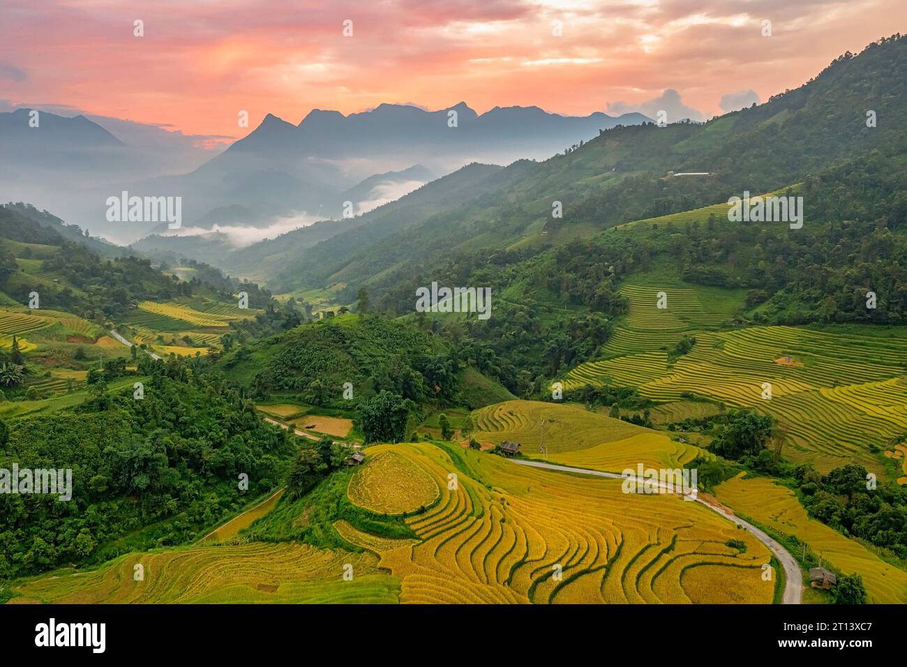 Vietnam sapa golden rice terraces hi-res stock photography and images ...