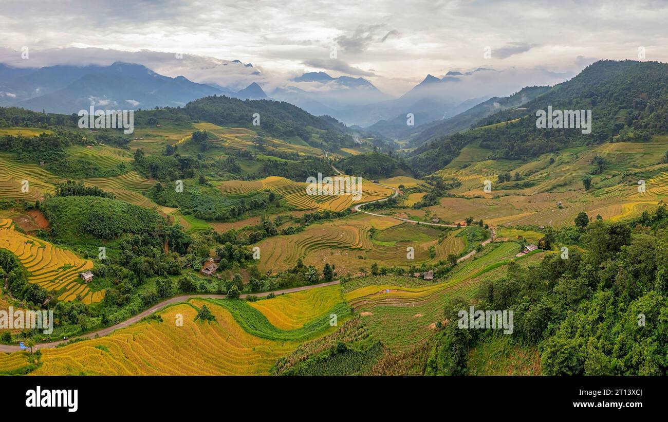 Aerial view of rice field or rice terraces , Sapa, Vietnam. Y Linh Ho ...