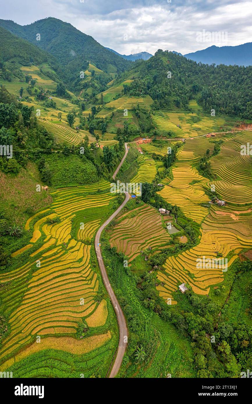 Vietnam sapa golden rice terraces hi-res stock photography and images ...