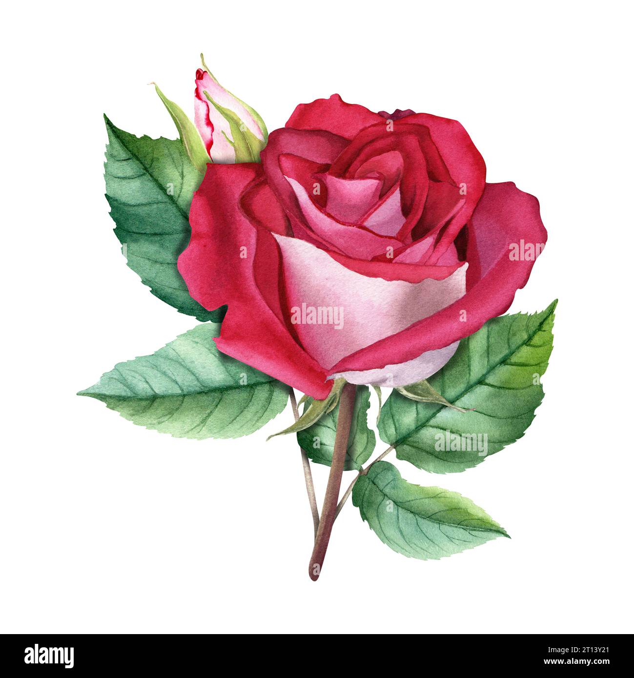 Luxor rose hi-res stock photography and images - Alamy