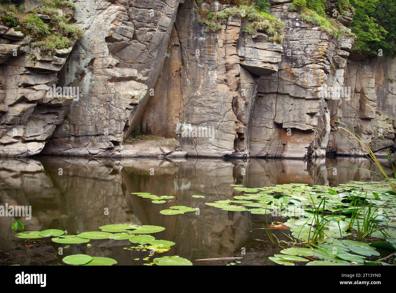 Background rock and river in ravine or canyon. Mountain river flows in ...