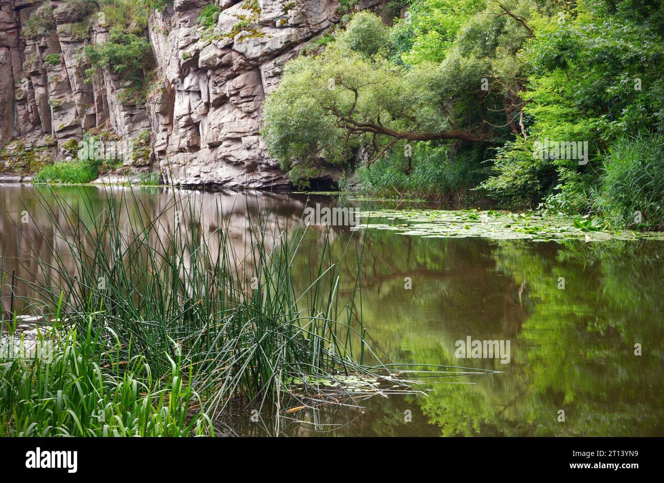 Background rock and river in ravine or canyon. Mountain river flows in ...