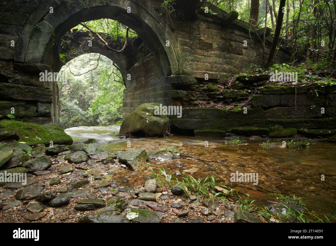 ruins of an ancient bridge in the forest above the river Stock Photo ...