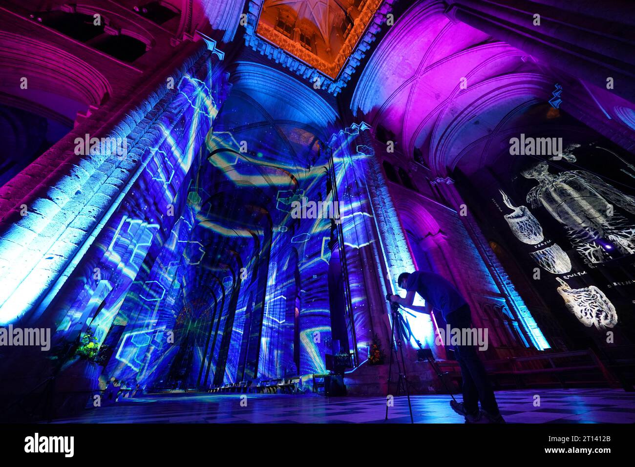 People viewing the rehearsal for the light show Luxmurals by artist ...