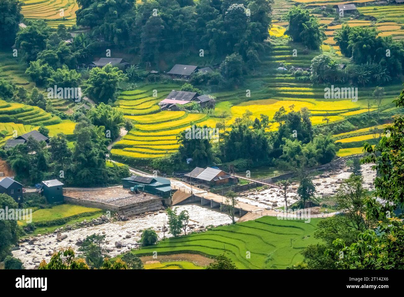 Aerial view of rice field or rice terraces , Sapa, Vietnam. Y Linh Ho ...
