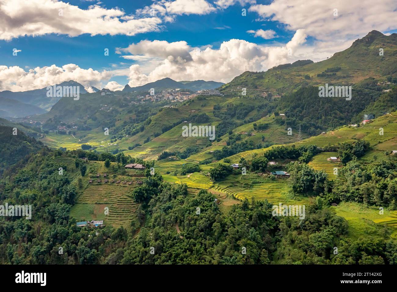 Aerial view of rice field or rice terraces , Sapa, Vietnam. Y Linh Ho ...
