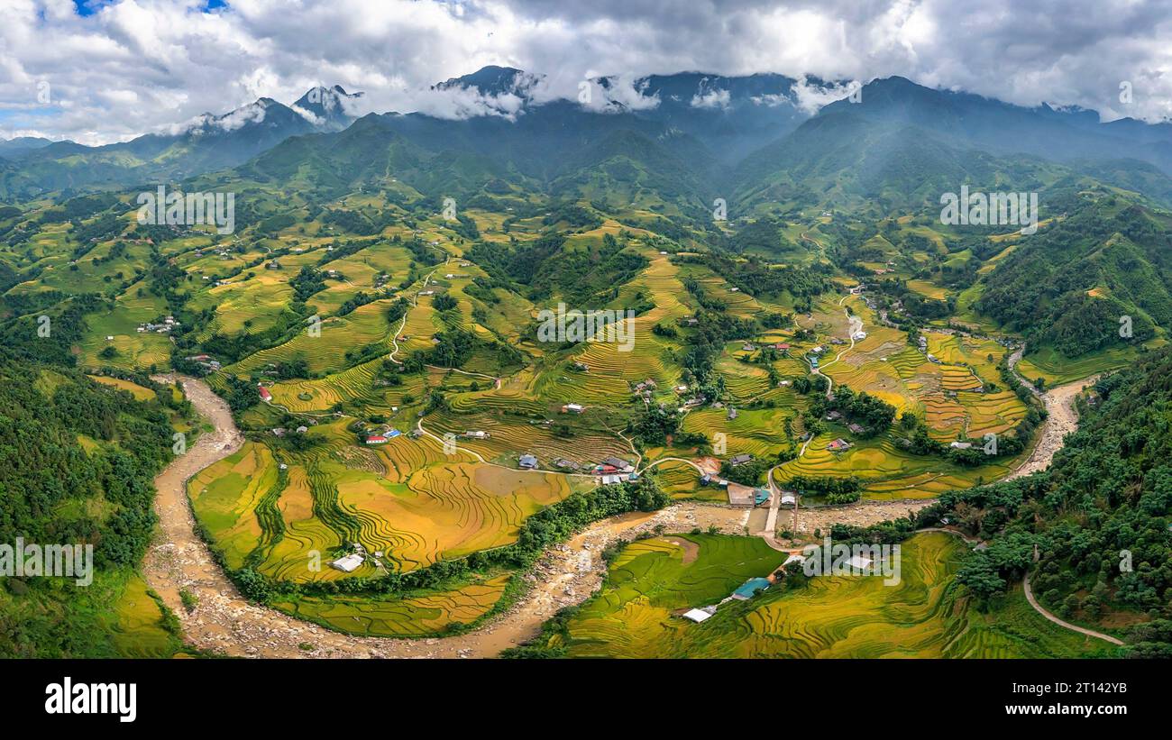 Aerial view of rice field or rice terraces , Sapa, Vietnam. Y Linh Ho ...