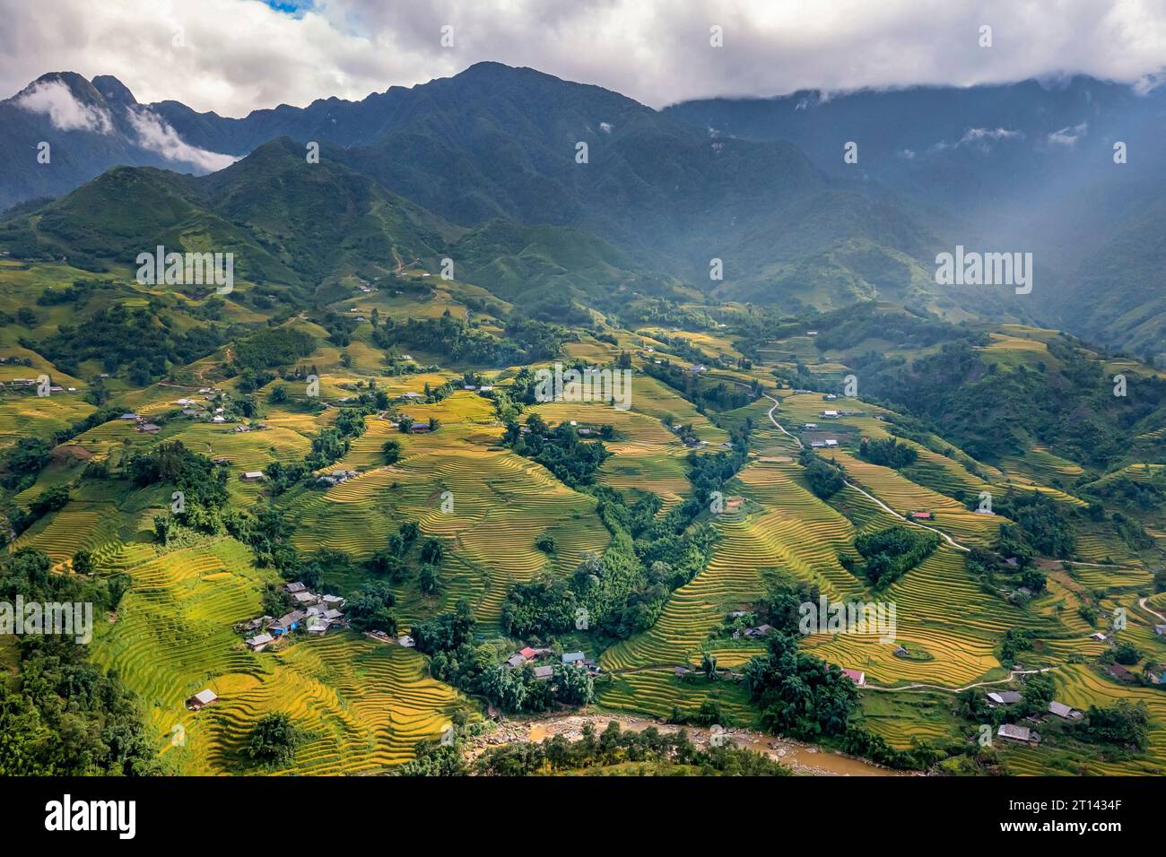 Aerial view of rice field or rice terraces , Sapa, Vietnam. Y Linh Ho ...