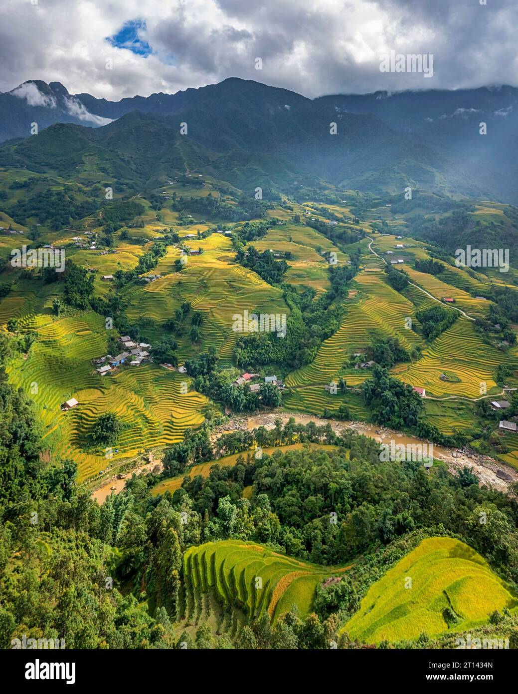 Aerial view of rice field or rice terraces , Sapa, Vietnam. Y Linh Ho ...